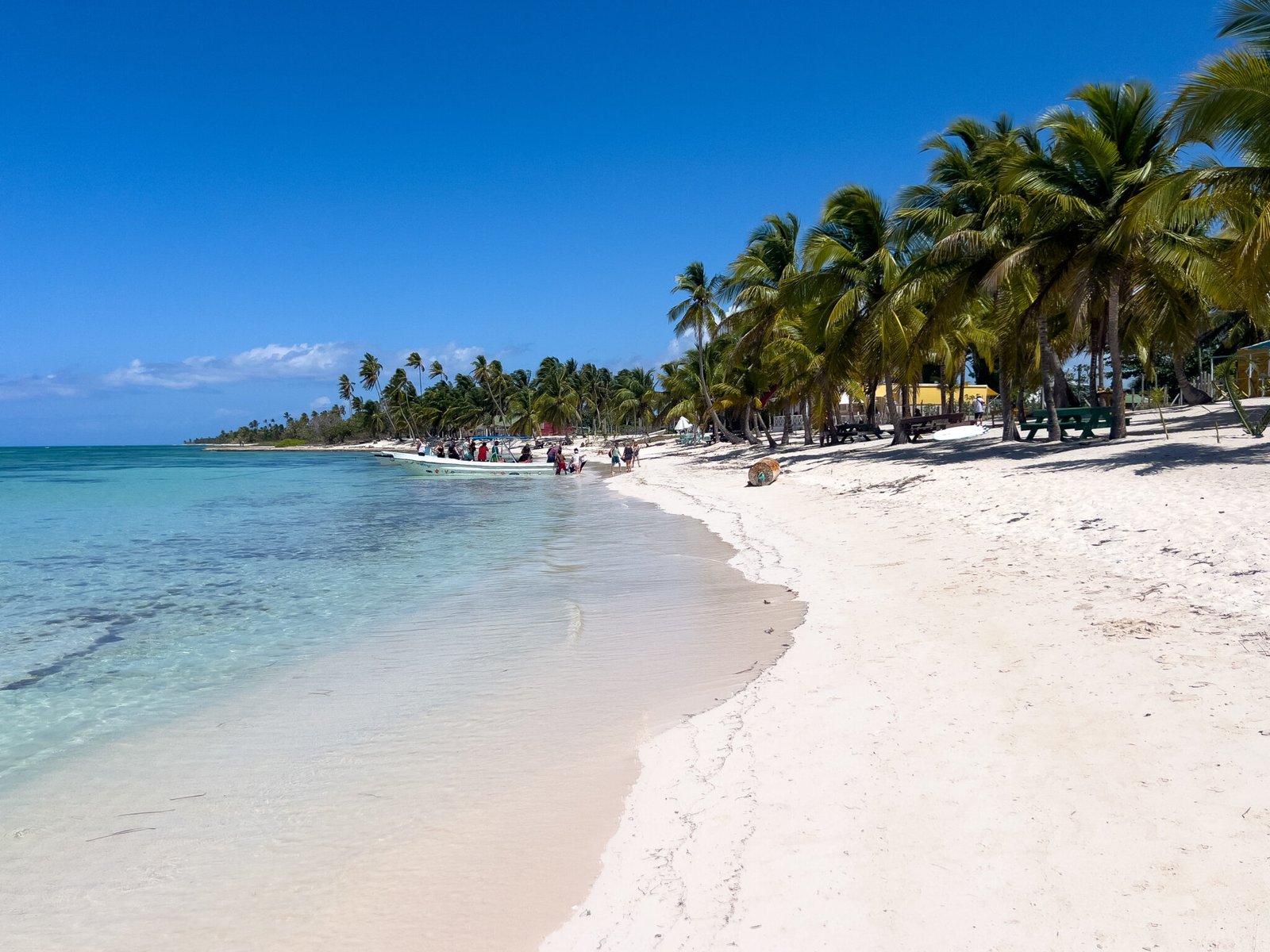 Visiting Saona Island: 10 unique experiences on a paradise island