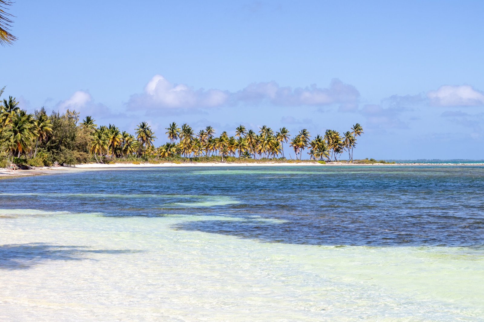Visiting Saona Island: 10 unique experiences on a paradise island