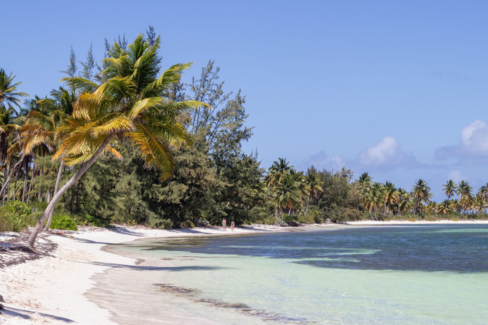 Visiting Saona Island: 10 unique experiences on a paradise island