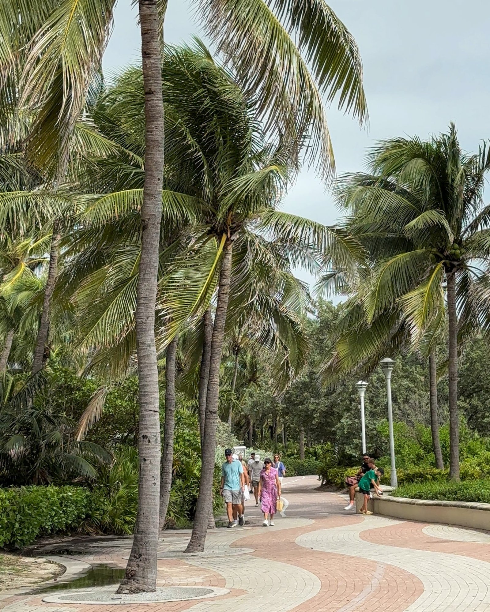 What to Do in Miami: 7 Unforgettable Days