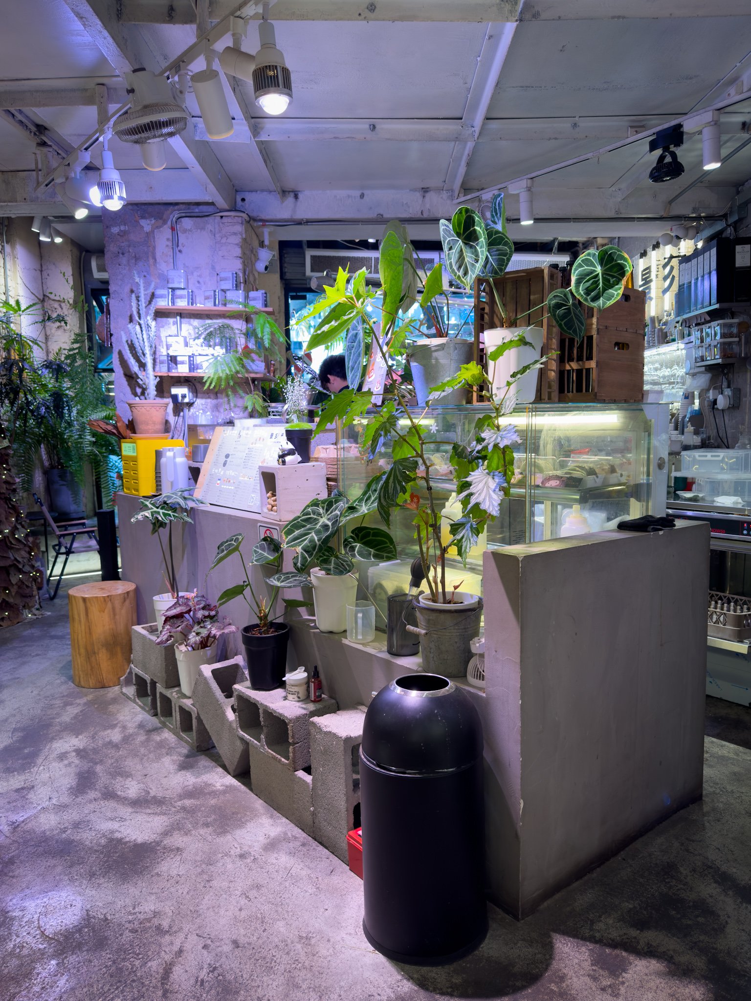 Best Coffee Shops in Guangzhou – A Must-Visit Guide