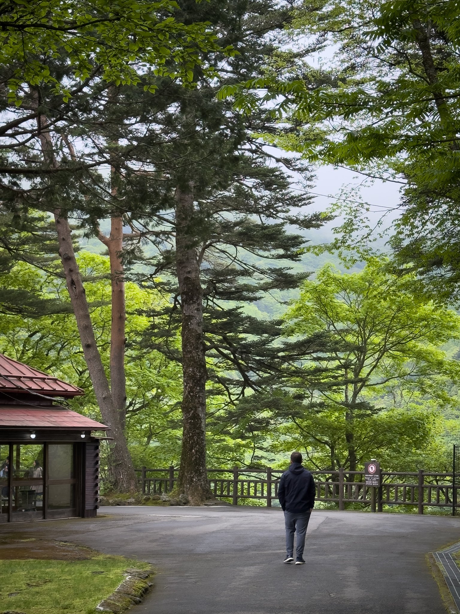 What to Do in Nikko: Complete Itinerary with Practical Tips